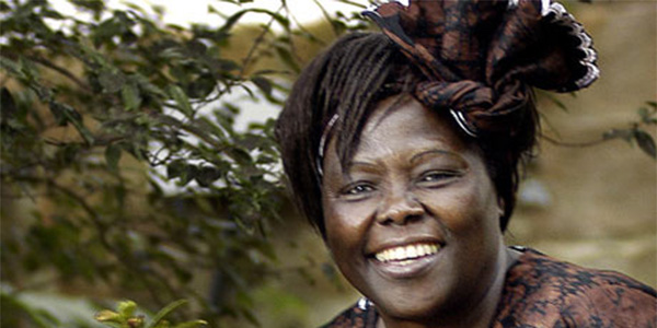 Il primato di Wangari