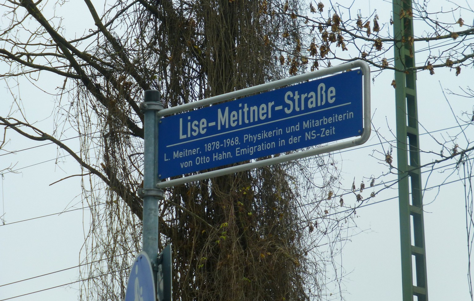 Lise Meitner. La madre della fissione nucleare