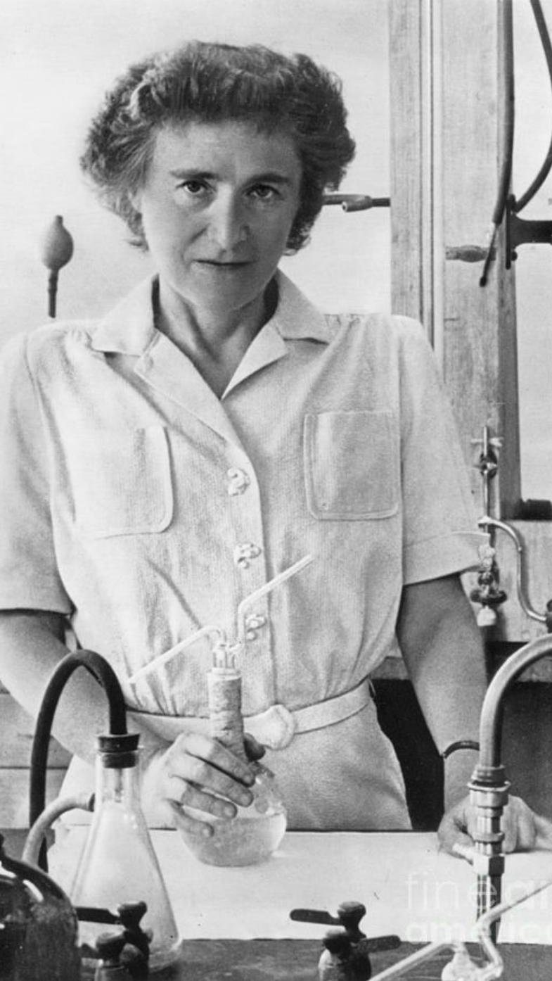 Gerty Theresa Radnitz Cori. Nobel per la medicina